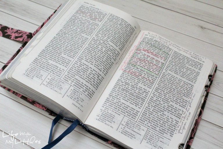 DIY Fabric Scripture Cover Tutorial - Life With My Littles