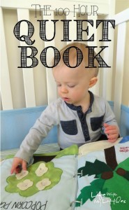 The 100 Hour Quiet Book